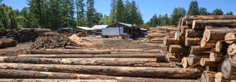 Stewart’s Point Lumber Mill – Richardson Ranch
